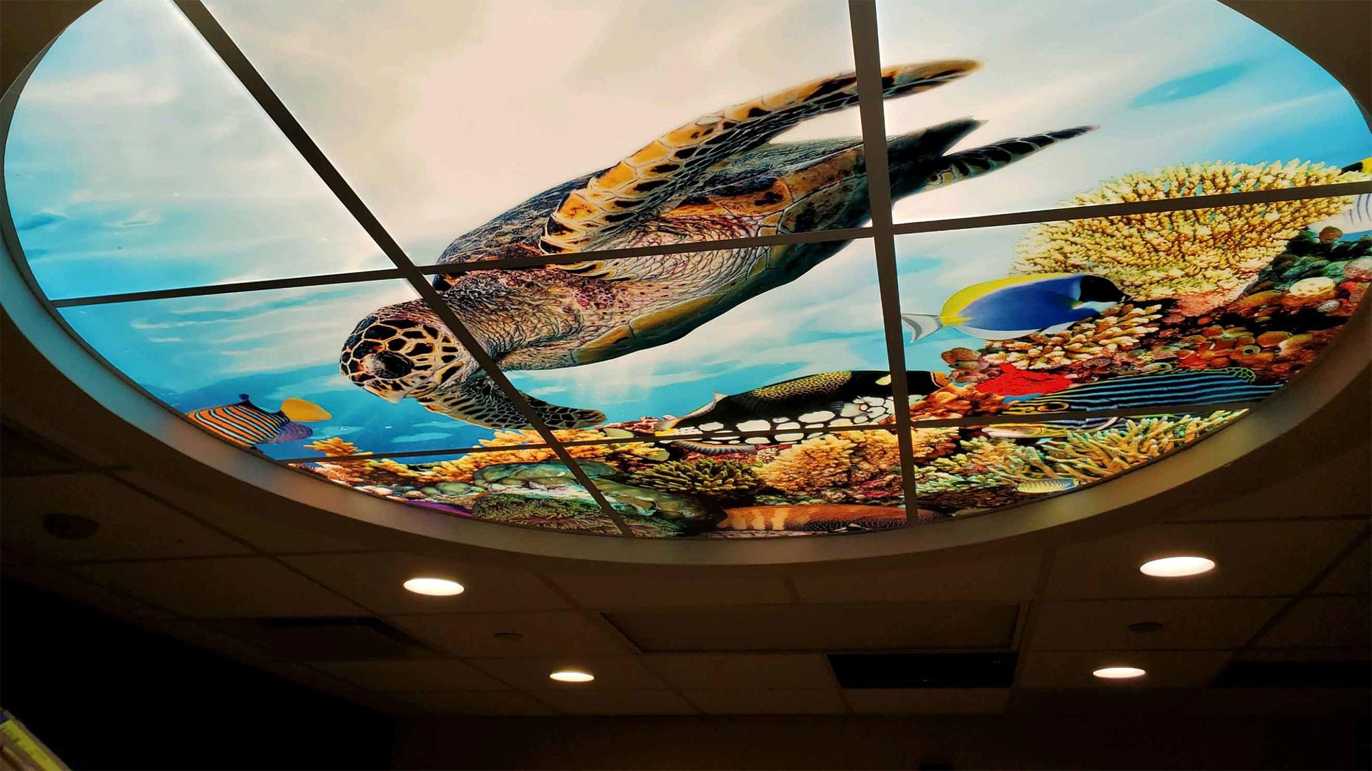 Lightspec | Where Light Meets Innovation